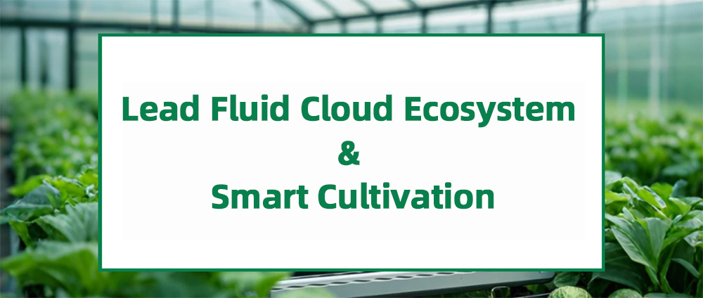 The Start of Winter: The Perfect Time for Smart Protection! Lead Fluid ...